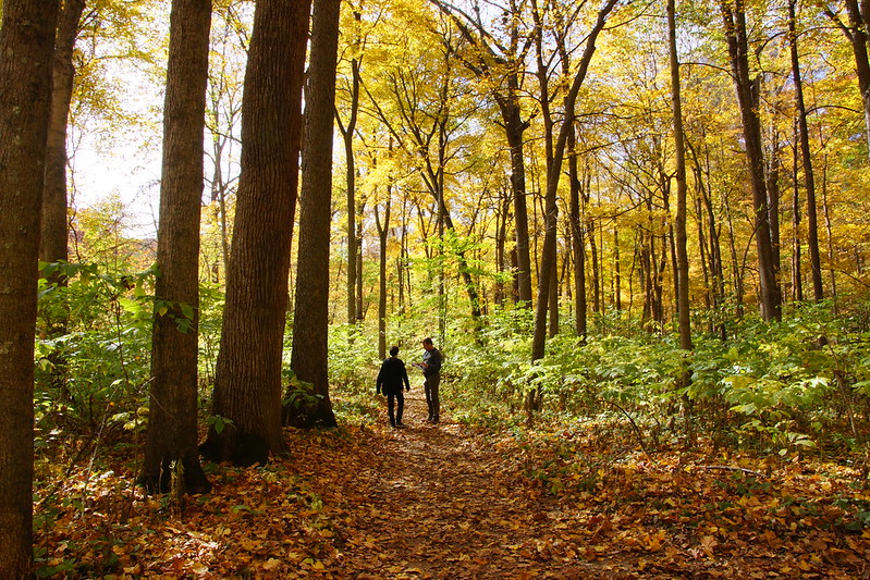12 Gorgeous State Parks In Indiana: One For Each Month Of 2023