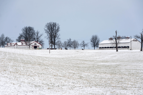 The Coldest Winter In Kentucky: January 1994