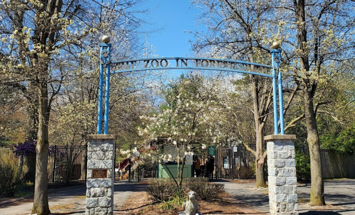 Zoo In Forest Park: A Little-Known Zoo In Massachusetts