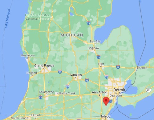 Cuddle Cows At A Unique Airbnb Experience In Maybee Michigan