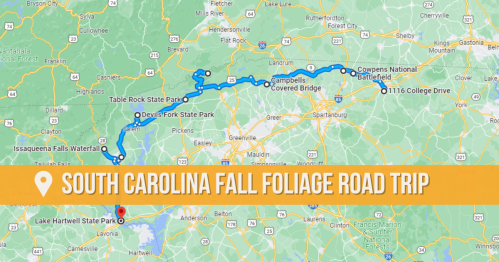 "When Do The Leaves Change In South Carolina?" Read On!
