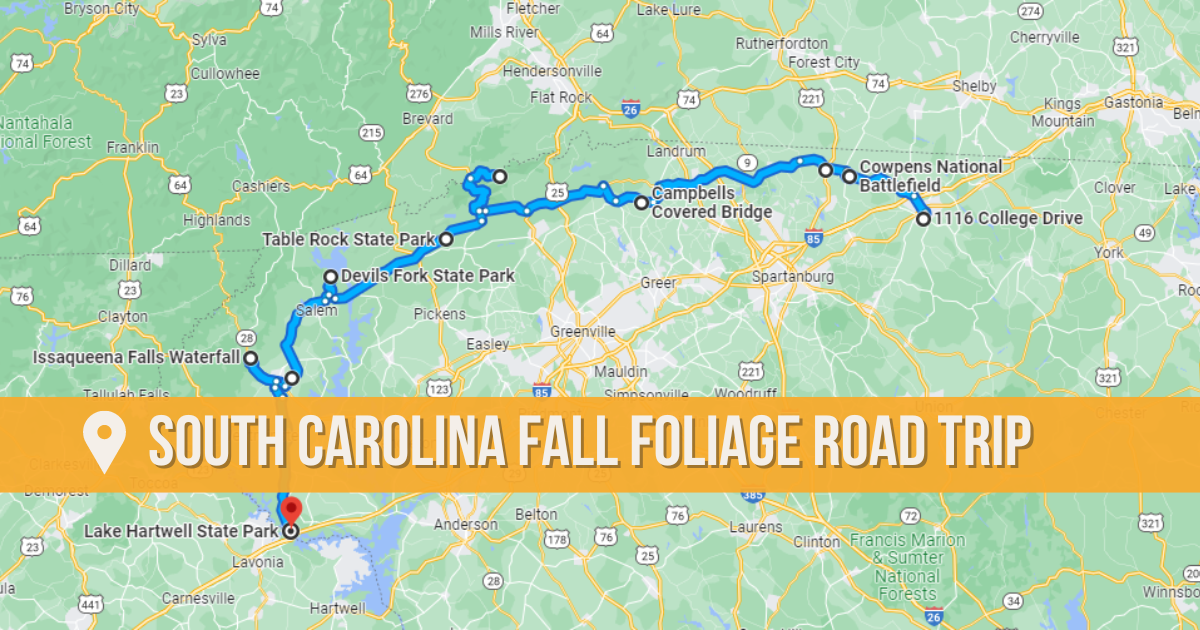 "When Do The Leaves Change In South Carolina?" Read On!