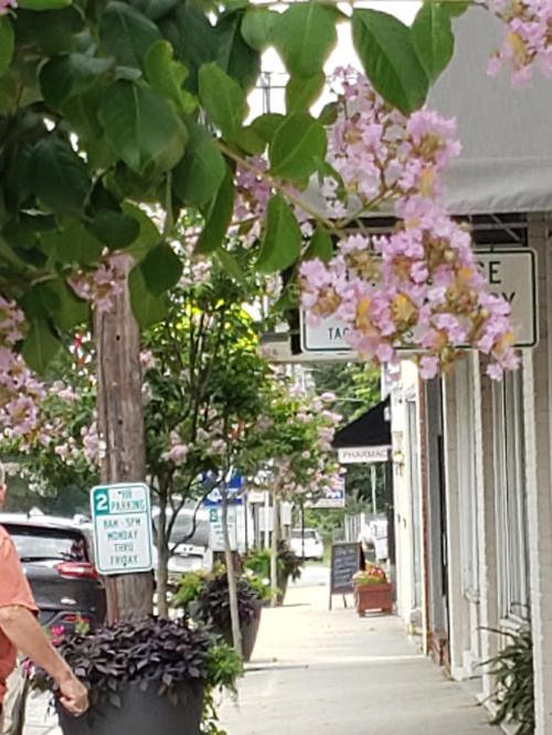 Visit The Enchanting Town In North Carolina Of Angier