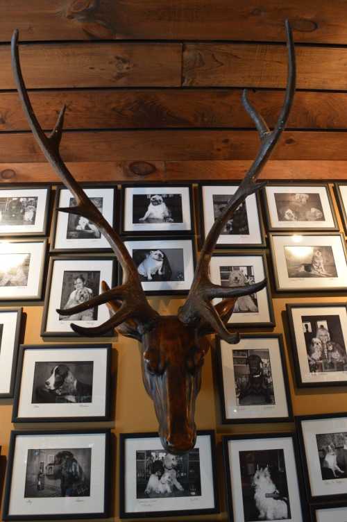 Antlers Bar Is The Oldest Bar In North Carolina