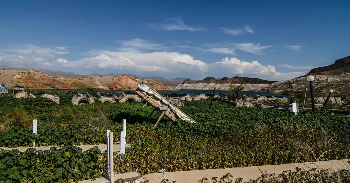 Nature Took Over The Abandoned Echo Bay Resort In Lake Mead
