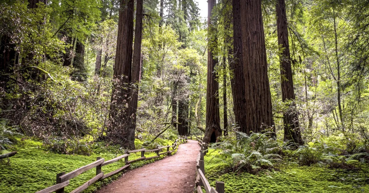 5 Truths Northern Californians Will Tell You About Living In NorCal