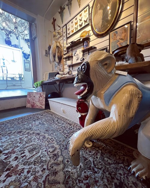 There's A Two-Story Oddities shop In Denver, Colorado