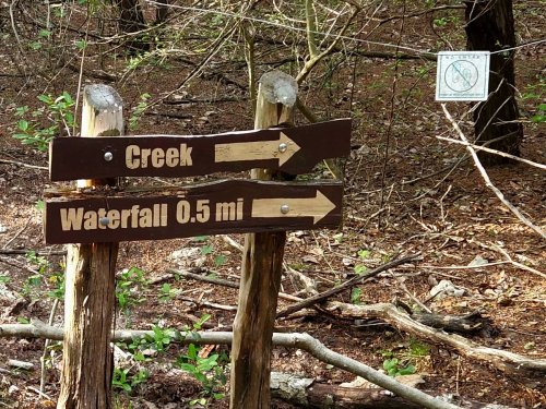 This Waterfall Hike In Texas Is Unexpectedly Magical