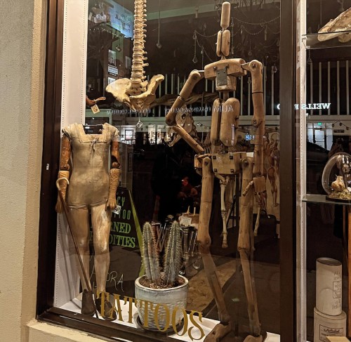 There's A Two-Story Oddities shop In Denver, Colorado