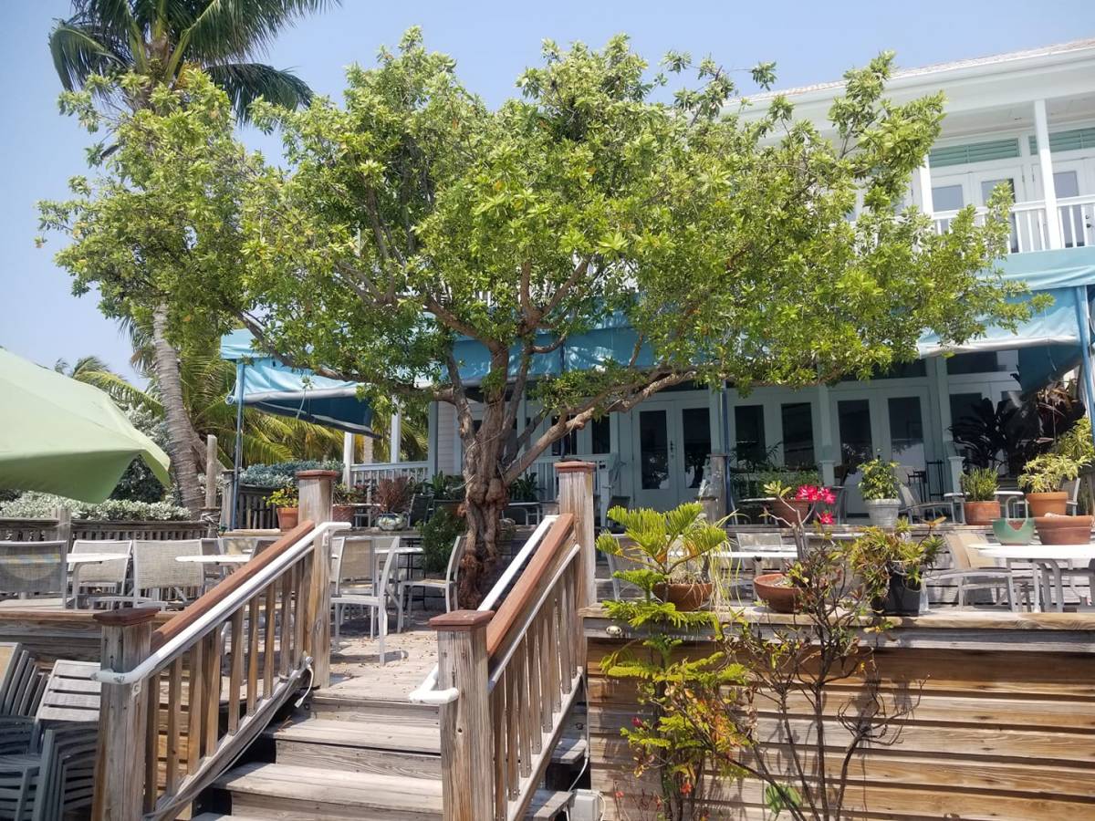Louie's Backyard: Best Hidden Gem Restaurants Key West, Florida
