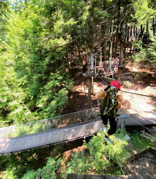 Ramblewild: The Longest Elevated Canopy Walk In Massachusetts