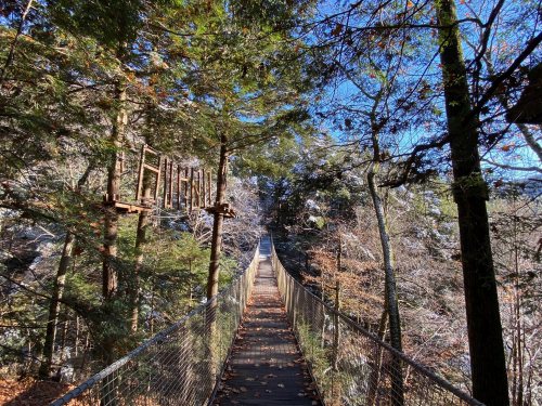 Ramblewild: The Longest Elevated Canopy Walk In Massachusetts