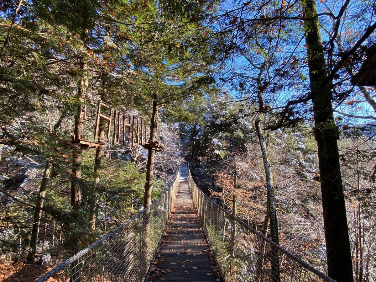 Ramblewild: The Longest Elevated Canopy Walk In Massachusetts
