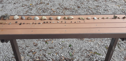This Is One Of The Only Parks To Hunt For Fossils In Mississippi