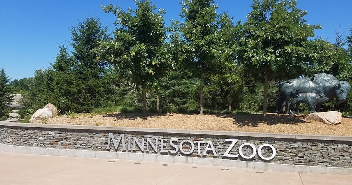Minnesota Is Home To The World’s Longest Elevated Walking Loop