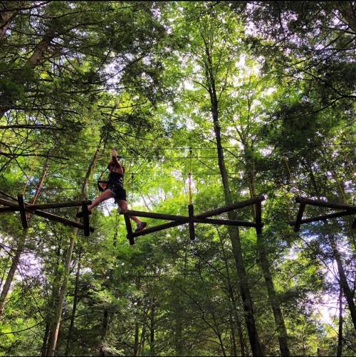 Ramblewild: The Longest Elevated Canopy Walk In Massachusetts