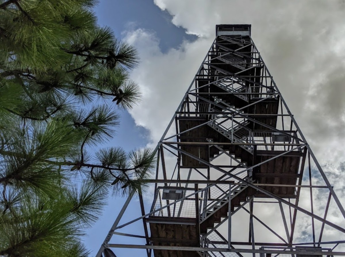 Smith Mountain Fire Tower In Alabama Has 111 Steps To The Top