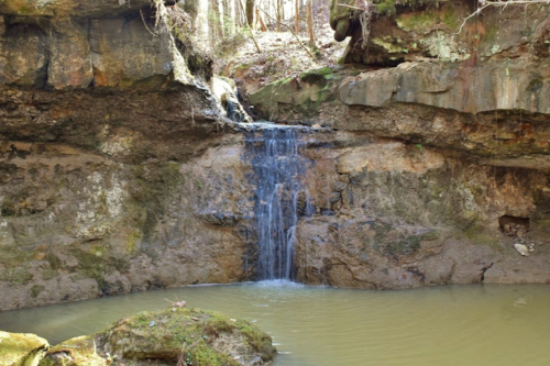 See 3 Waterfalls In Louisiana At This WMA