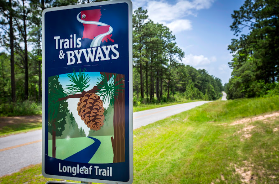 Take A Drive Down The Longleaf Pine Scenic Byway In Louisiana