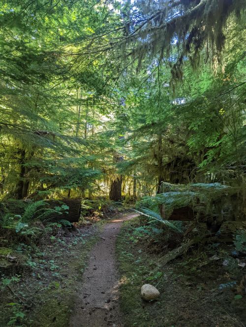 Hidden Gem State Park In Rockport, WA: Rockport State Park