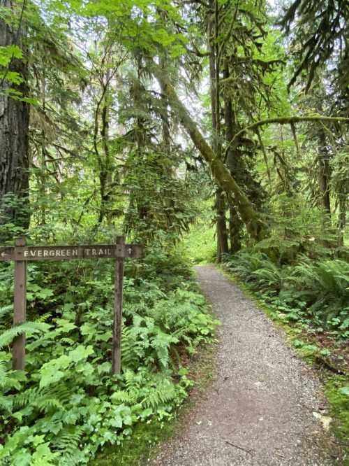 Hidden Gem State Park In Rockport, WA: Rockport State Park