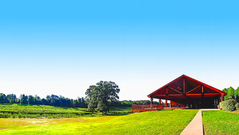 These Cabins On A Vineyard In Louisiana Are The Ultimate Countryside ...