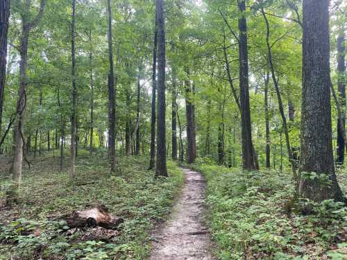 Peewah Trail: One Of The Best Trails In Missouri