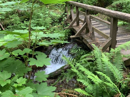 Hidden Gem State Park In Rockport, WA: Rockport State Park