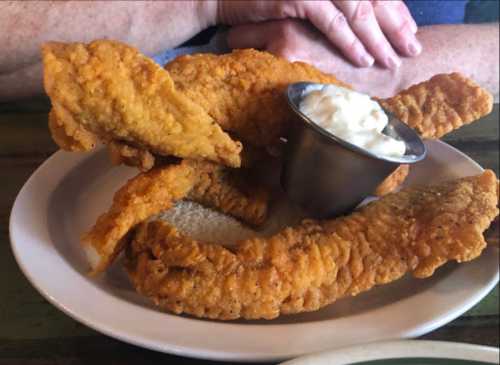 Diamond Mineral Springs Is A Must-Try Family Restaurant In Illinois