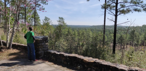 Take A Drive Down The Longleaf Pine Scenic Byway In Louisiana