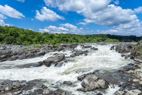 Maryland Quarry Swimming Hole: Beaver Dam Swimming Club
