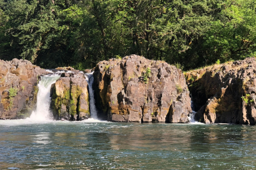 This Hidden Beach Is The Best Place To Find Seashells In Oregon