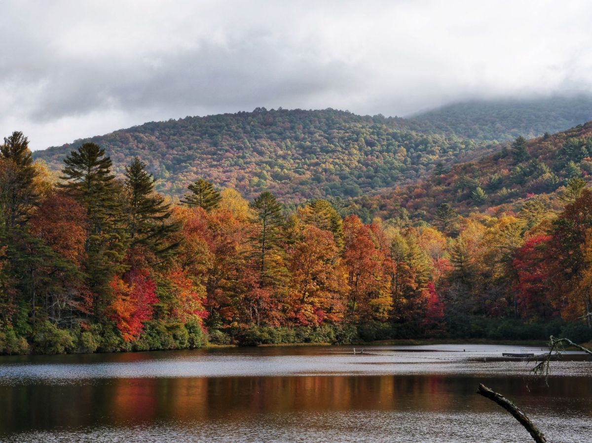 This Lake In Georgia Is A True Hidden Gem