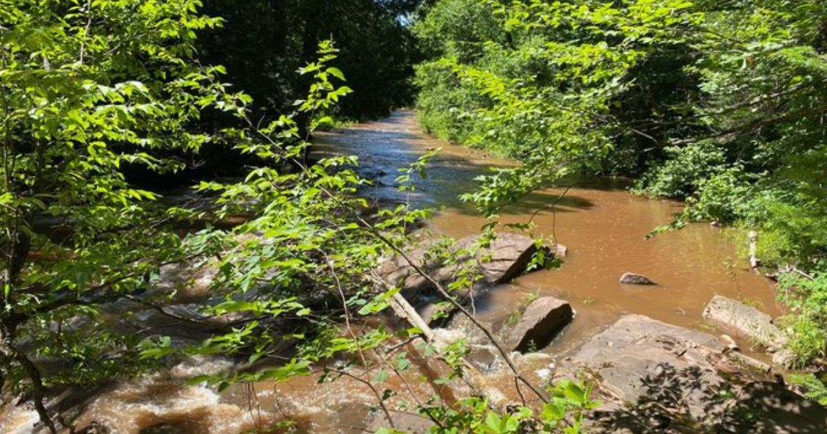 Nonesuch Falls Trail In Michigan Is The Creepiest Hike