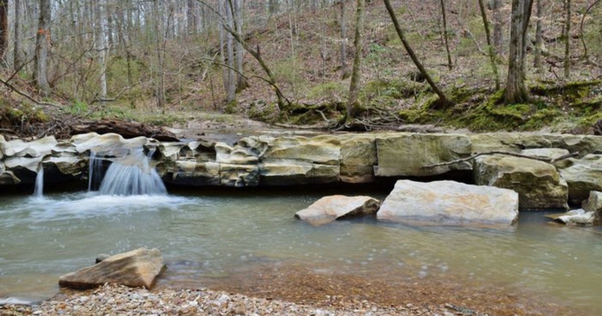 See 3 Waterfalls In Louisiana At This WMA