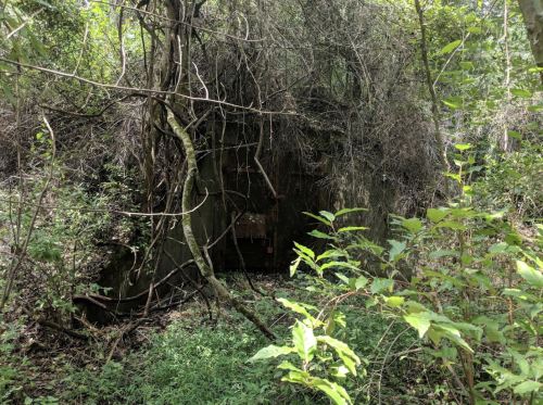 Point Pleasant TNT Factory: An Eerie Abandoned Place In WV