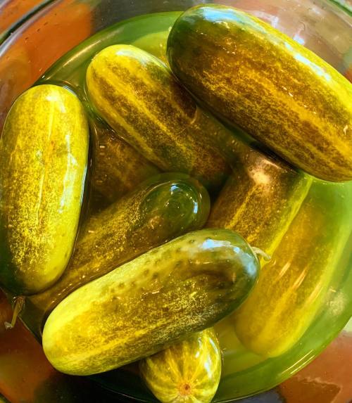 Pickle Time In Duvall Washington Is The Real Dill
