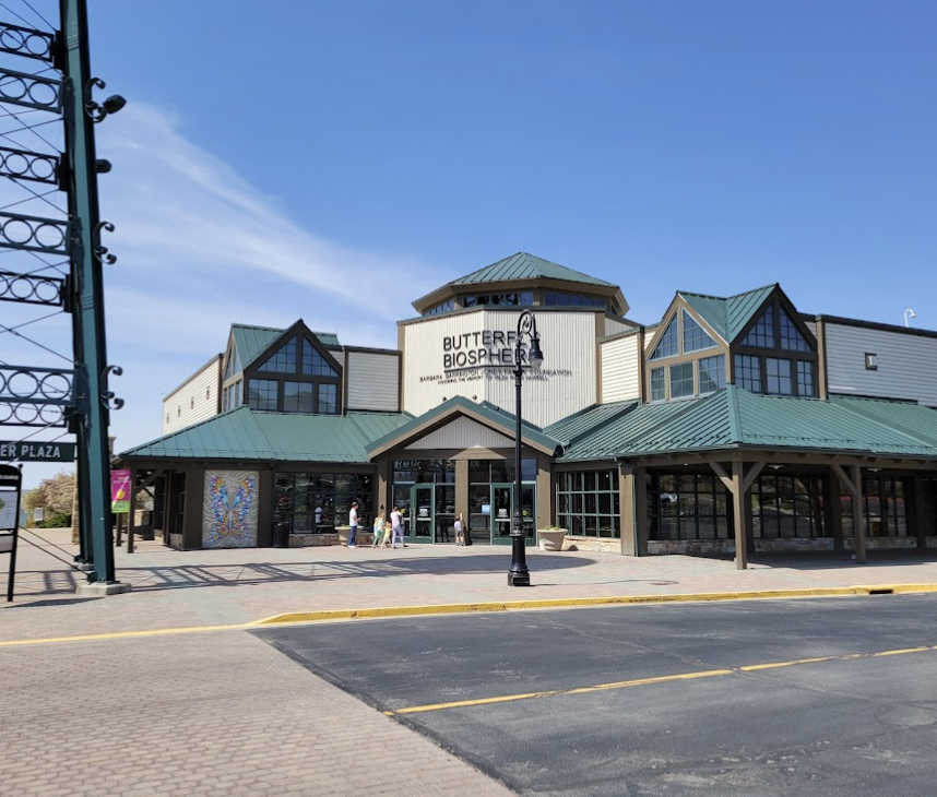Spend A Day At Butterfly Biosphere, Utah’s Only Butterfly House