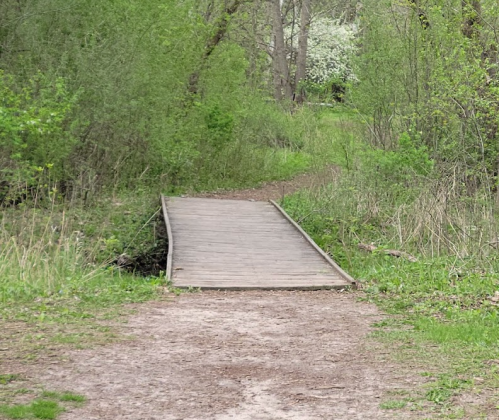 Find Some Of The Best Fossil Hunting In Minnesota At This Spot