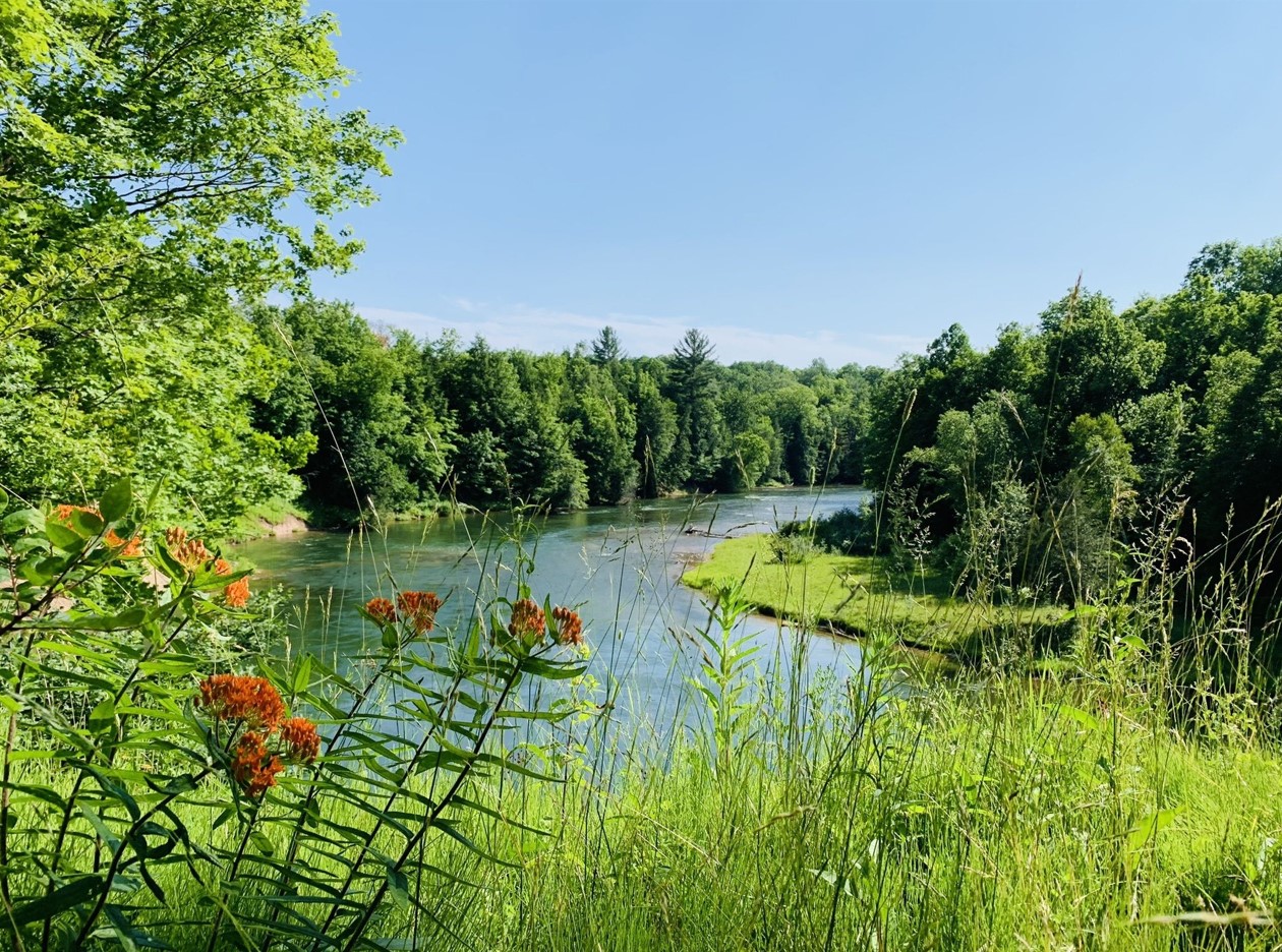 The Gorgeous 19.2-Mile Hike In Michigan’s Forest That Will Lead You ...
