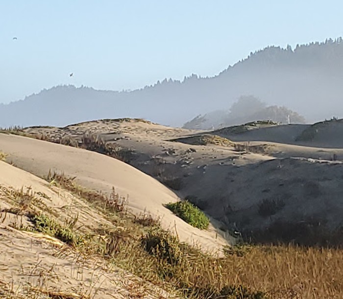 Hardly Anyone Knows These Northern California Sand Dunes Exist