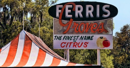 One-Tank Florida Road Trip With Springs, Seafood And Small Towns