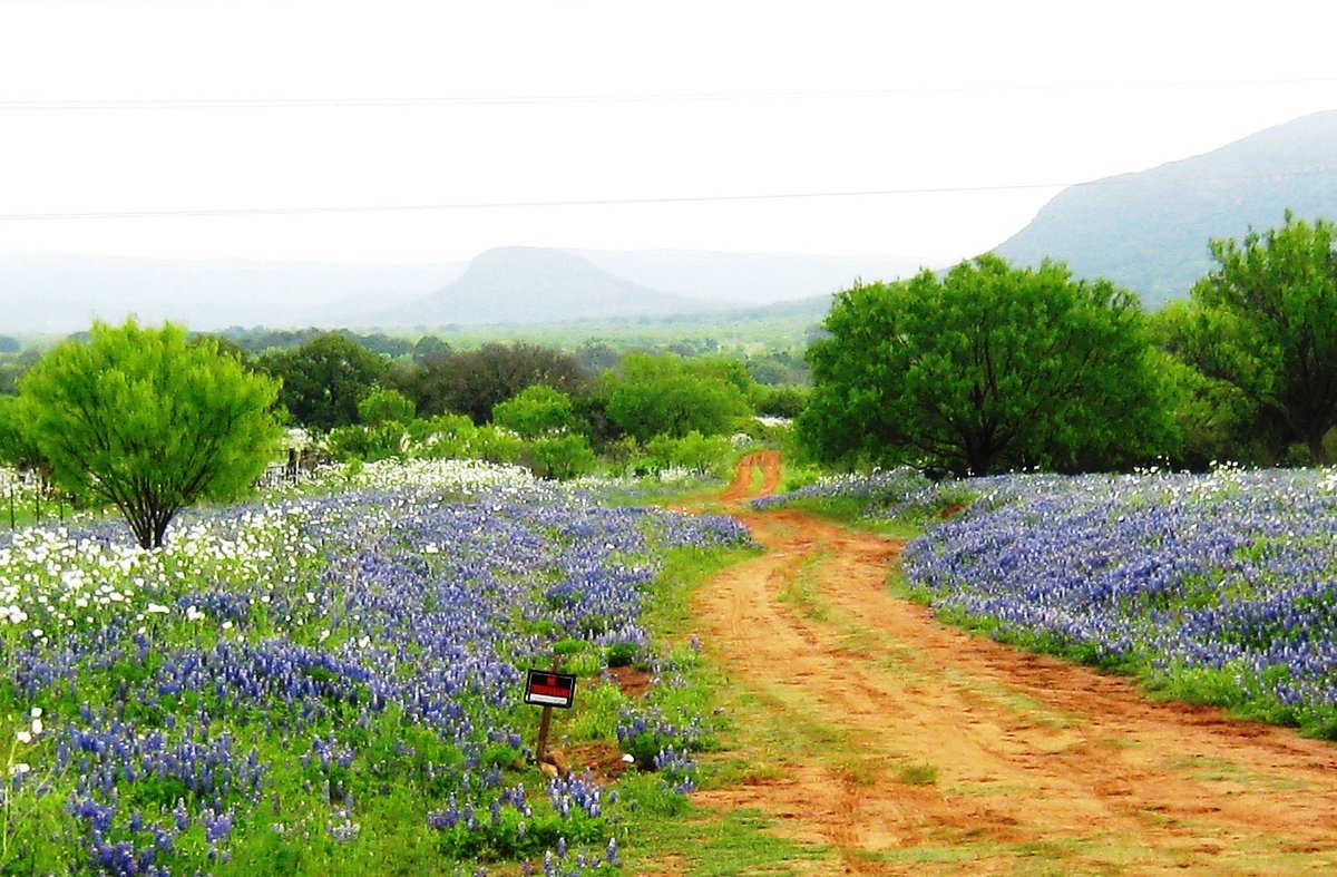 Discover 12 Hidden Gems in Texas for Every Month of the Year