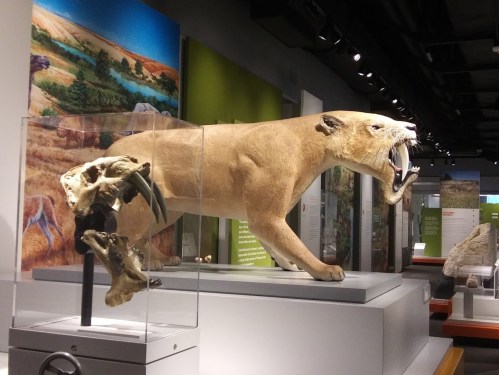 Morrill Hall Is A Fascinating Natural History Museum In Nebraska