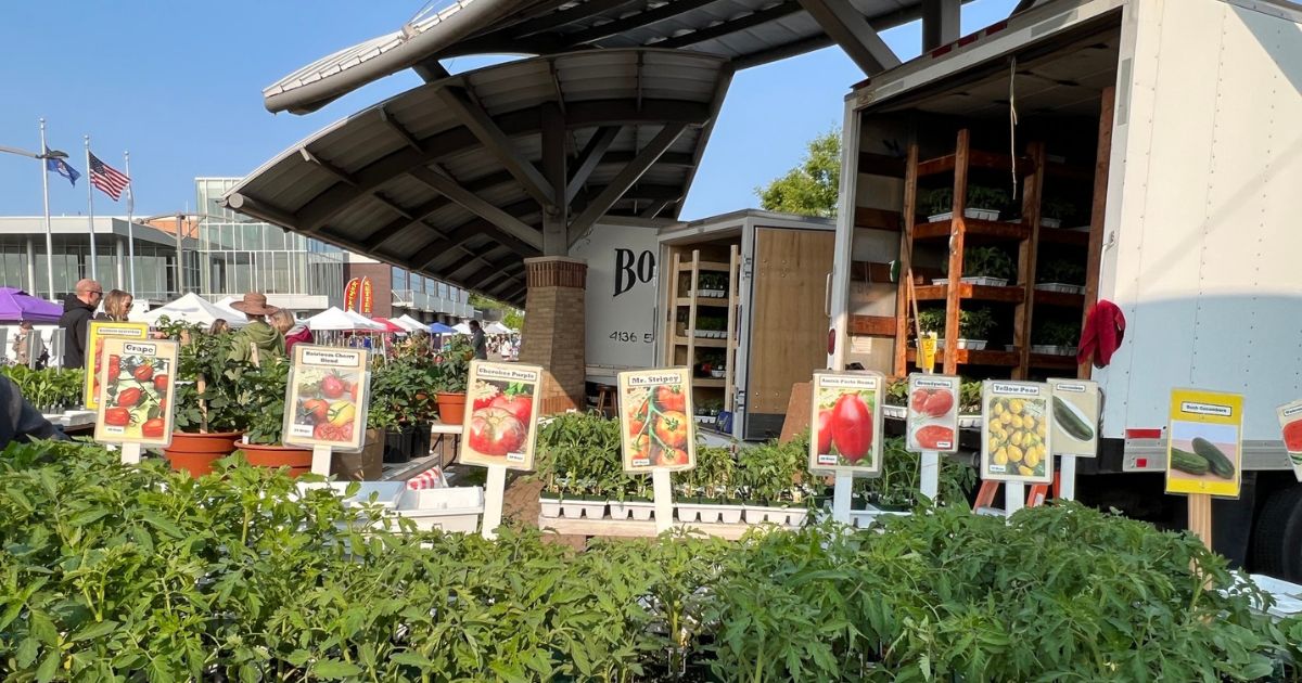 A Trip To This Indoor Farmers Market in Michigan Will Make Your Weekend ...