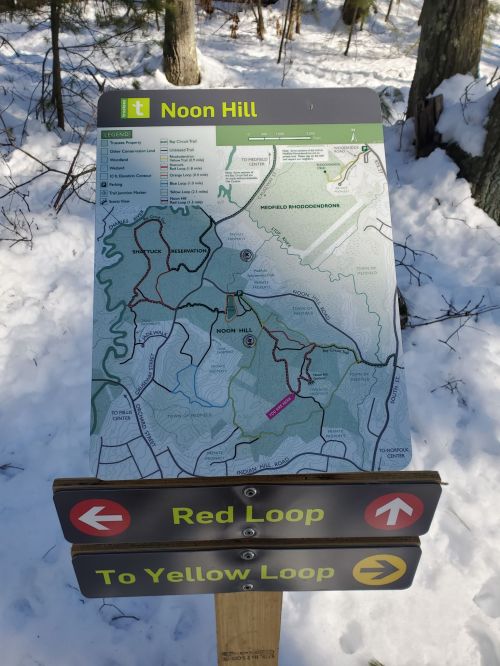 Visit Noon Hill, A Little-Known Park In Massachusetts