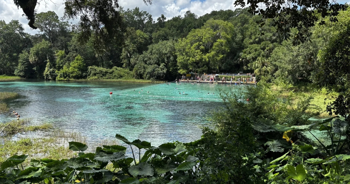 One-Tank Florida Road Trip With Springs, Seafood And Small Towns