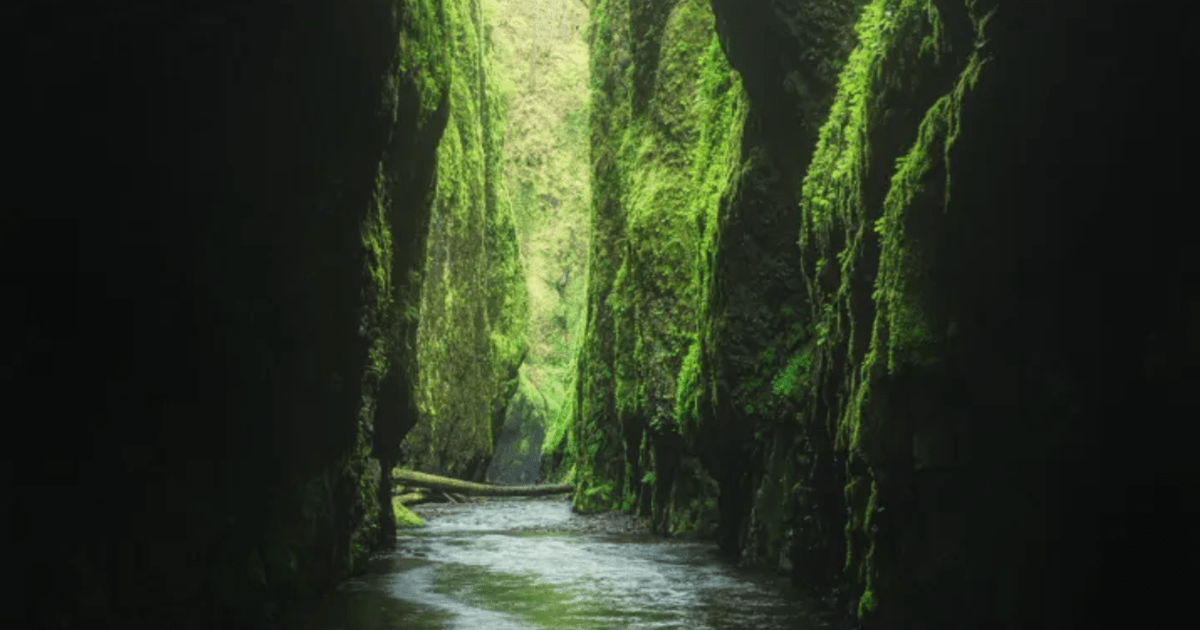 The Oneonta Gorge Trail In Oregon Is Unexpectedly Magical