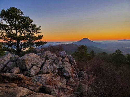 You'll Love Rattlesnake Ridge, A Picturesque Trail In Arkansas