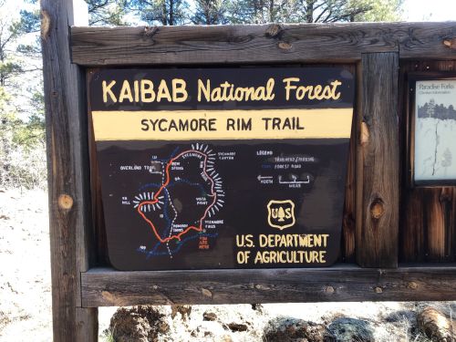 Sycamore Falls AZ: Best Hike in Williams for Frozen Waterfalls